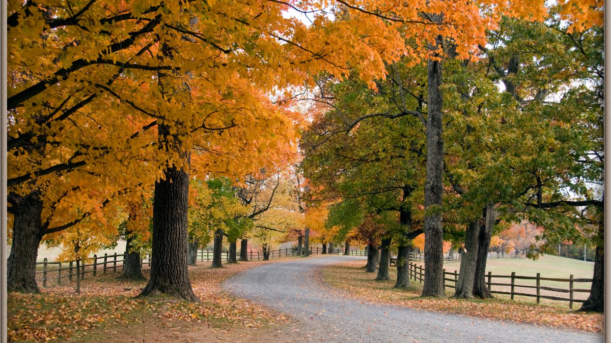 Illinois State Park Ranks Among Best Places To Spot Fall Colors NBC Illinois State Park Ranks Among Best Places To Spot Fall Colors NBC