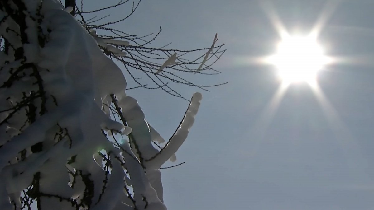 Is Warm December a Sign of What’s to Come This Winter? – NBC Chicago