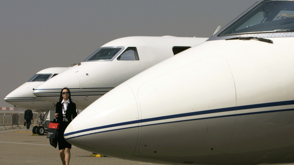 Flight of the Dodo – NBC Chicago