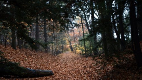 A Midwestern Suburb is Home to One of the World’s Most Haunted Roads ...