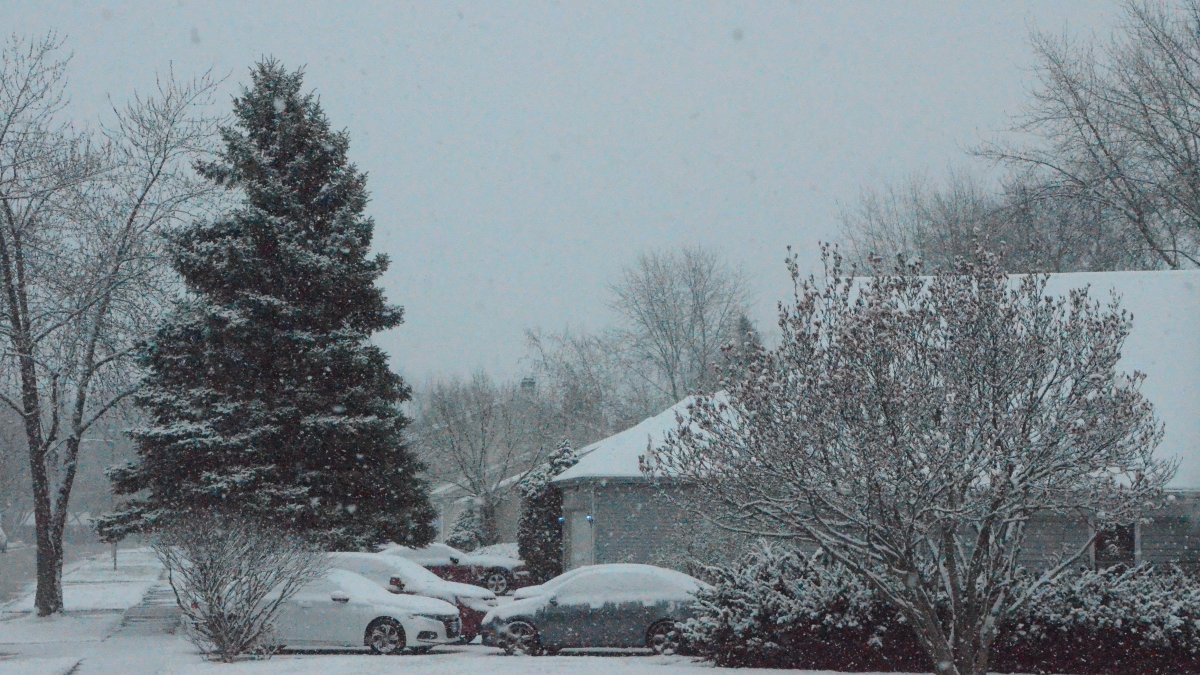 Snow Totals Across the Chicago Area Wednesday – NBC Chicago