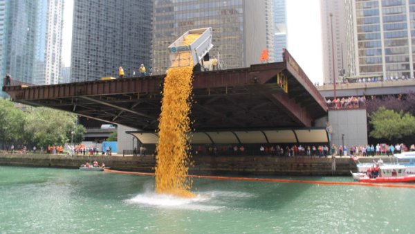 Chicago Ducky Derby to return to the Chicago River this week – NBC Chicago