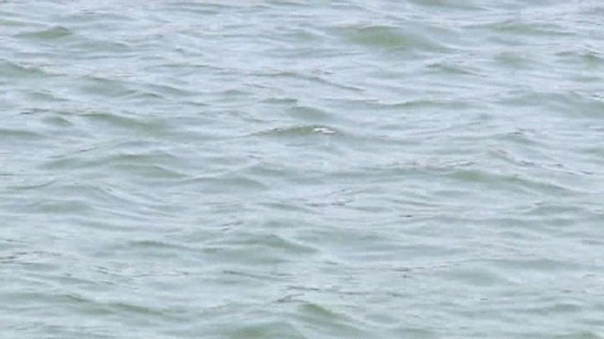 Man dies after being pulled from Lake Michigan near 31st Street Beach ... Man dies after being pulled from Lake Michigan near 31st Street Beach ...
