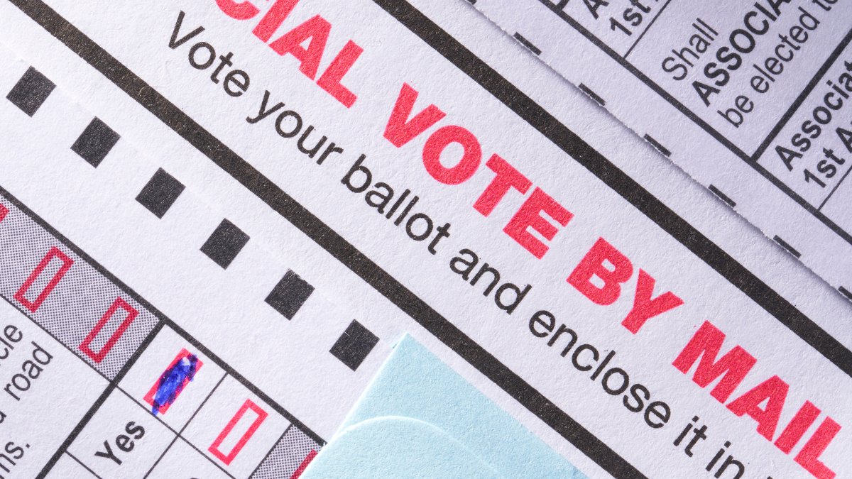 These Are the Referendum Questions on Suburban Cook County Voters ...