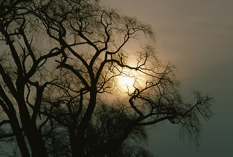 Haunted 45-Acre Immersive Experience to Open for Season in Wisconsin ...