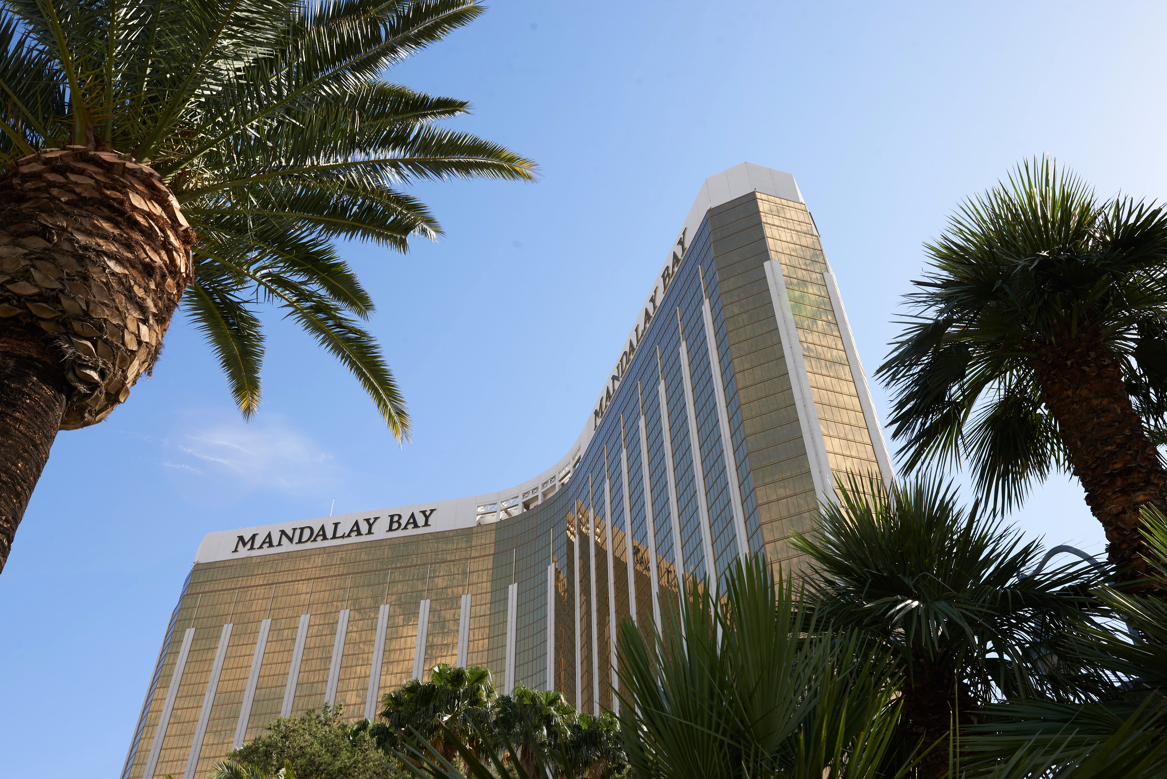 If you stayed at MGM Resorts, you may be owed money in settlement – NBC ...