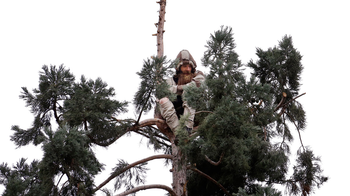 ’Man in Tree’ Finally Descends, Ends 25-Hour Drama – NBC Chicago