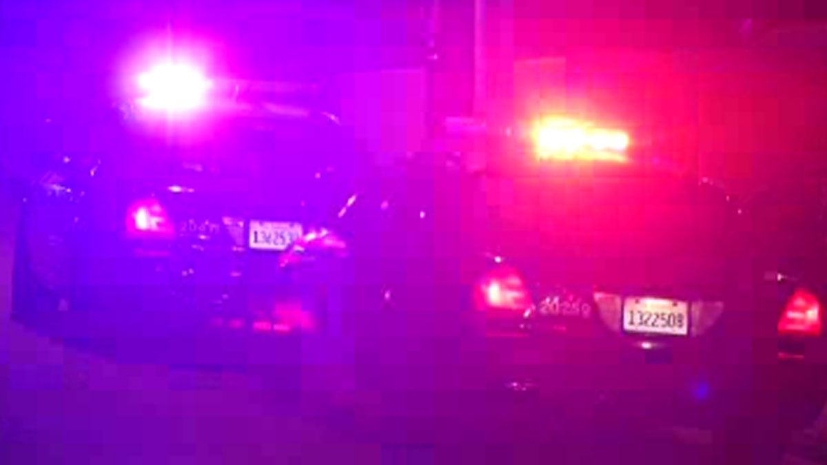 Suburban Woman Found Unresponsive on Her Patio Was Killed by Her Dog ...