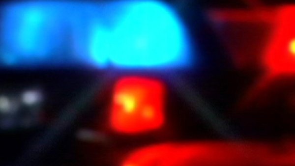 Charges filed in 2020 death woman found in suburban preserve – NBC Chicago