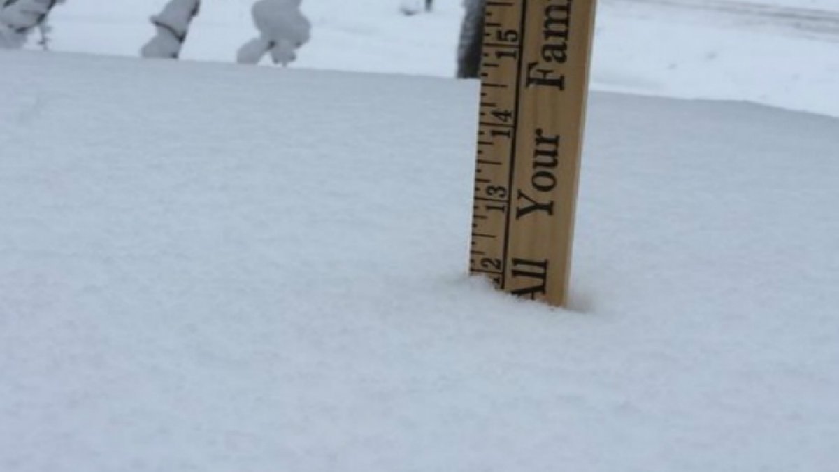 Reported Snow Totals From Across the Chicago Area – NBC Chicago