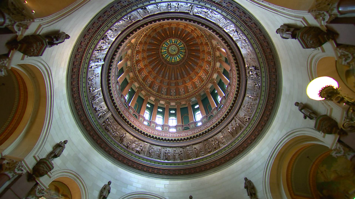 A Virtual Legislature: Illinois Lawmakers Plan Spring Work by Video ...