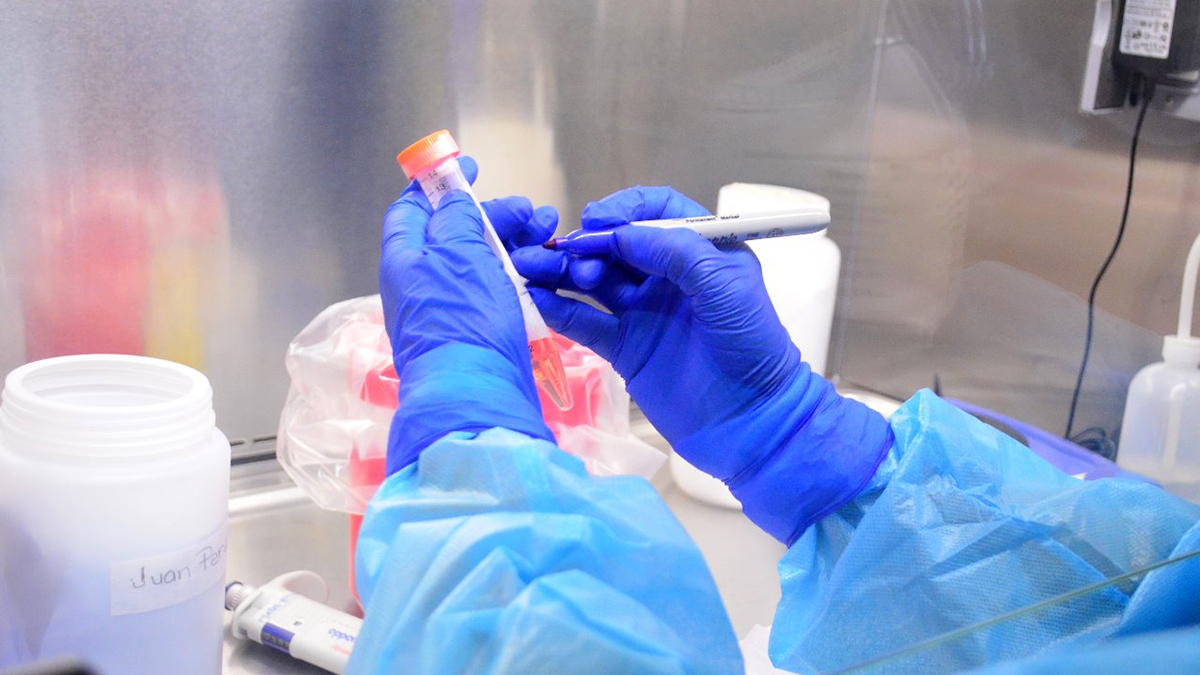 COVID-19 Deaths Count in Cook County Tops 2,500: Medical Examiner – NBC ...