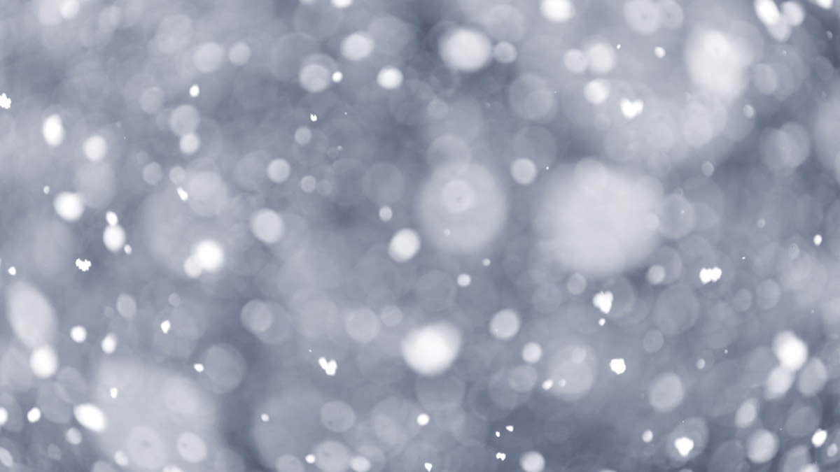 Chicago Suburbs Snowfall Totals: How Much Fell in Your Area? – NBC Chicago
