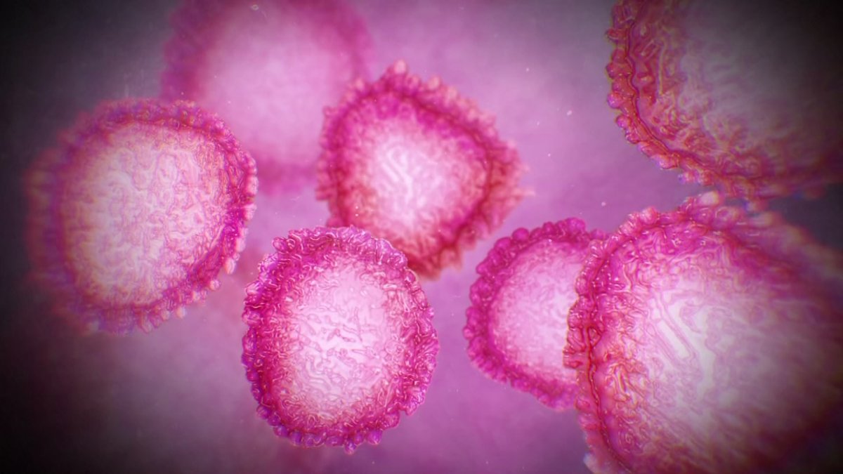 Conn. Mom Details Loss of Infant to Parechovirus, the Rare Virus ...