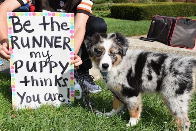 How to Cheer For Runners During Virtual Bank of America Chicago ...