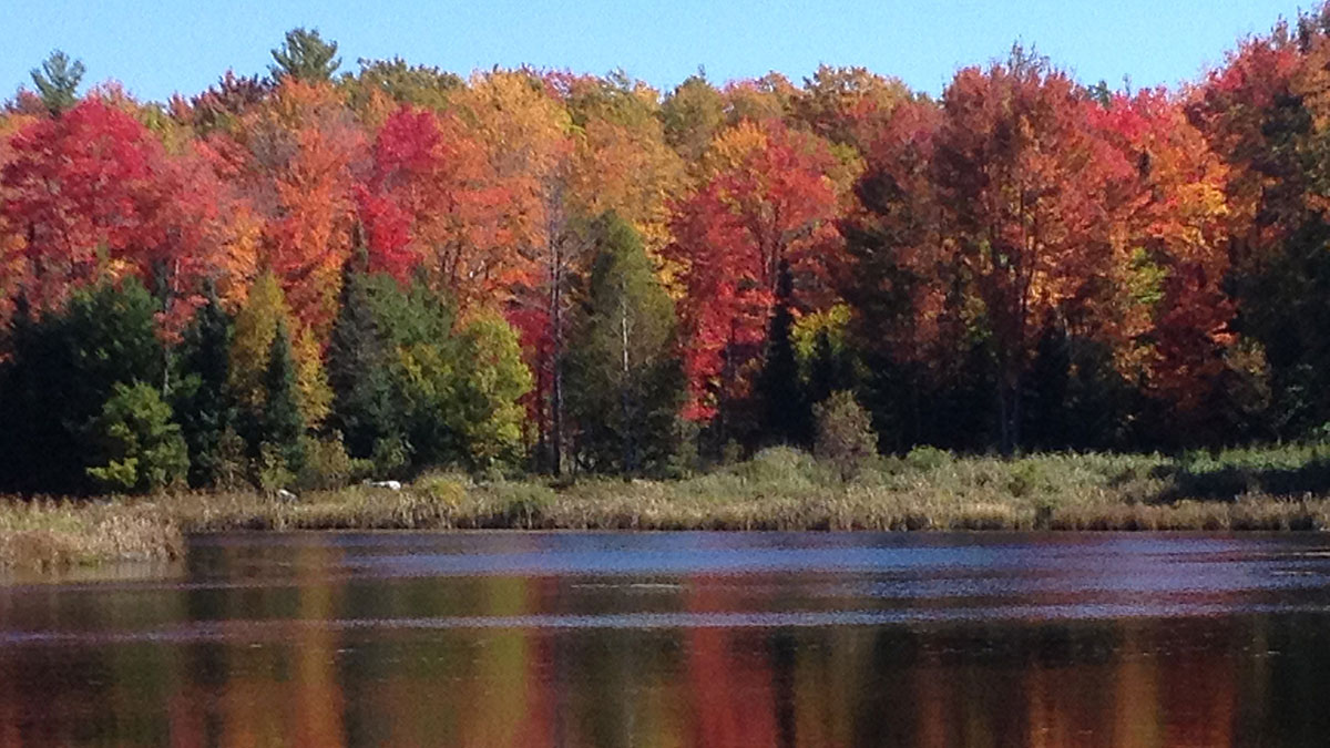 Brant’s Weather Photos – NBC Chicago