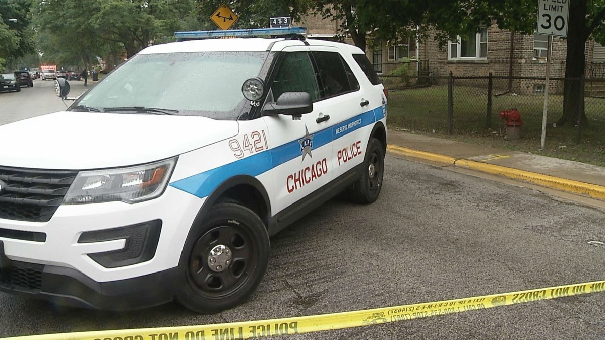 Girl Escapes Attacker in West Rogers Park After He Grabbed Her: Police ...