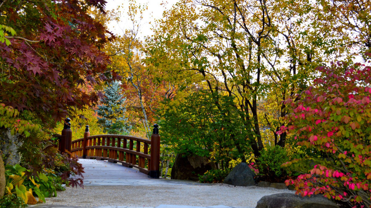 Pumpkin Patches, Apple Picking and More Things to Do Around Chicago ...