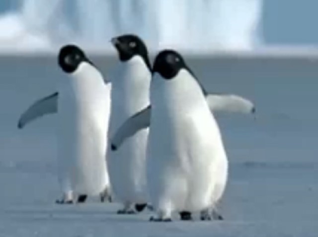 Best April Fools Day Video Hoaxes – NBC Chicago