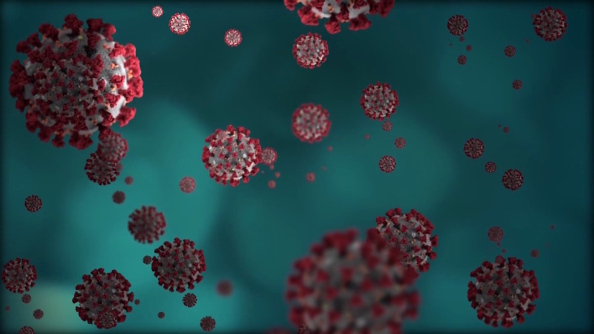 MAP: Coronavirus Cases, Deaths in Illinois By County – NBC Chicago