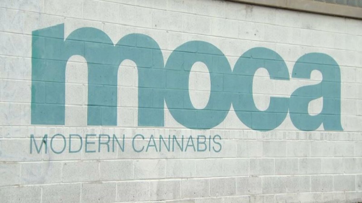 Who Hit MOCA? Questions Remain After Massive Dispensary Heist – NBC Chicago