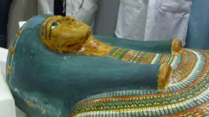 Field Museum Unwraps Latest Exhibit – NBC Chicago