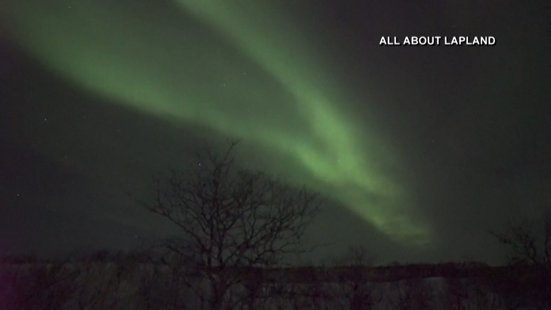 The Northern Lights may be visible in Chicago area this week – NBC Chicago