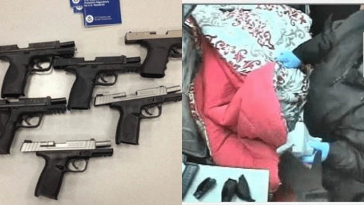 Burbank Man Sentenced in Egypt Gun Smuggling Straw Purchase Scheme ...