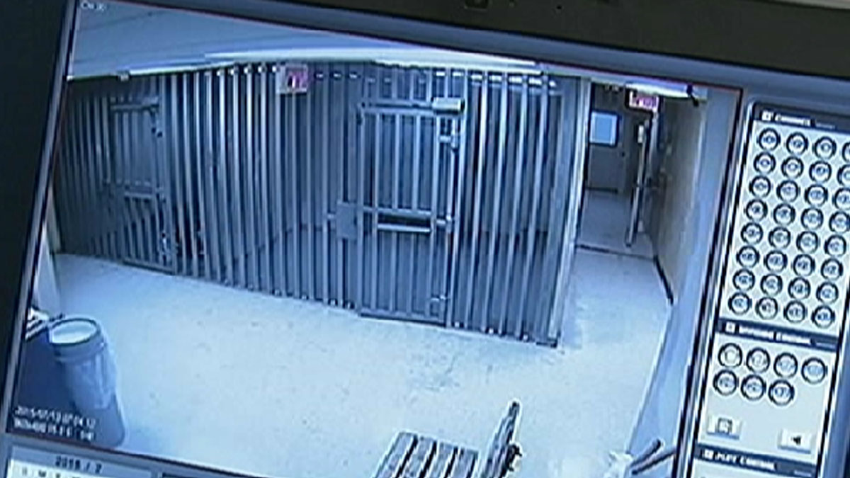 Officials Release Video From Jail Cell in Sandra Bland Case – NBC Chicago