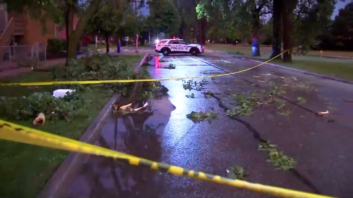 Fierce Summer Storms Bring Down Trees and Power Lines in Chicago Area ...