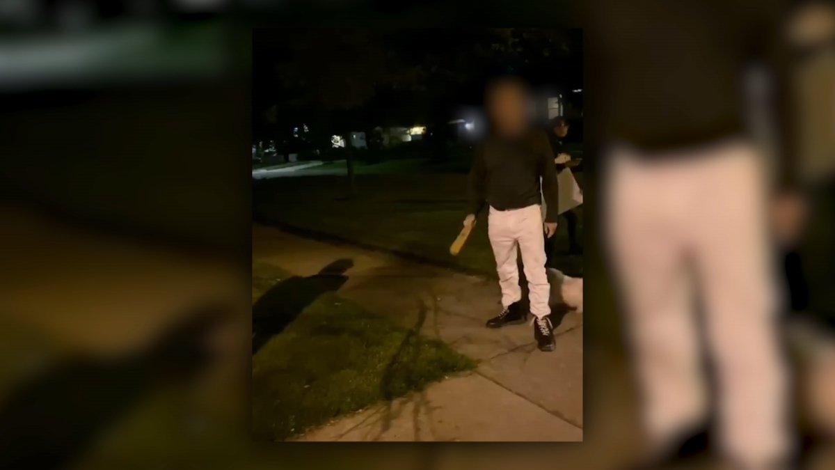 Teens Say Man With Bat Allegedly Threatened Them After Naperville ...