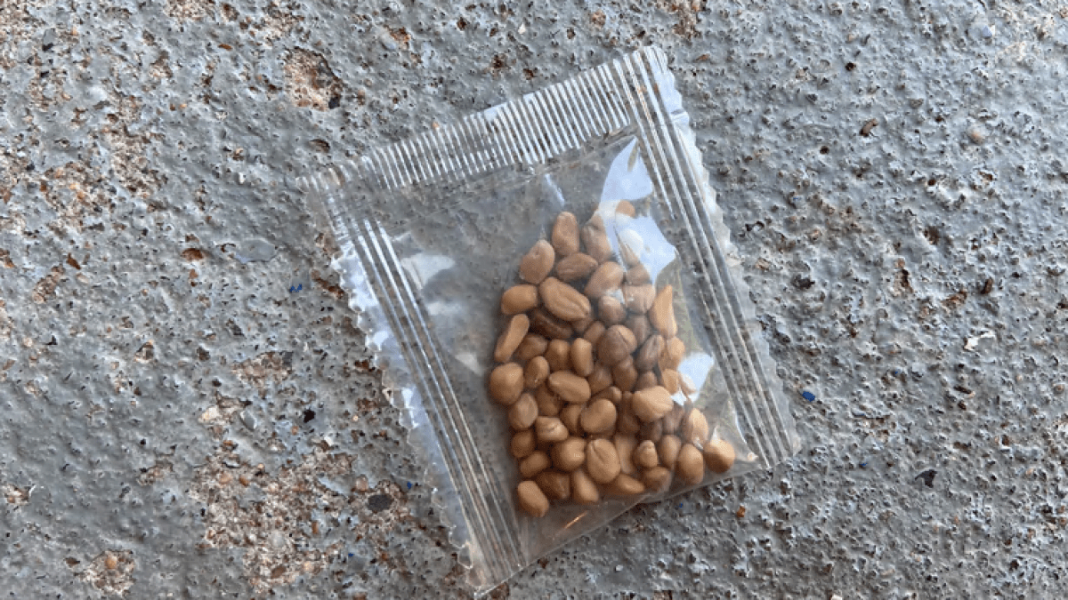 Wisconsin Issues Warning After Residents Receive What Looks Like ...