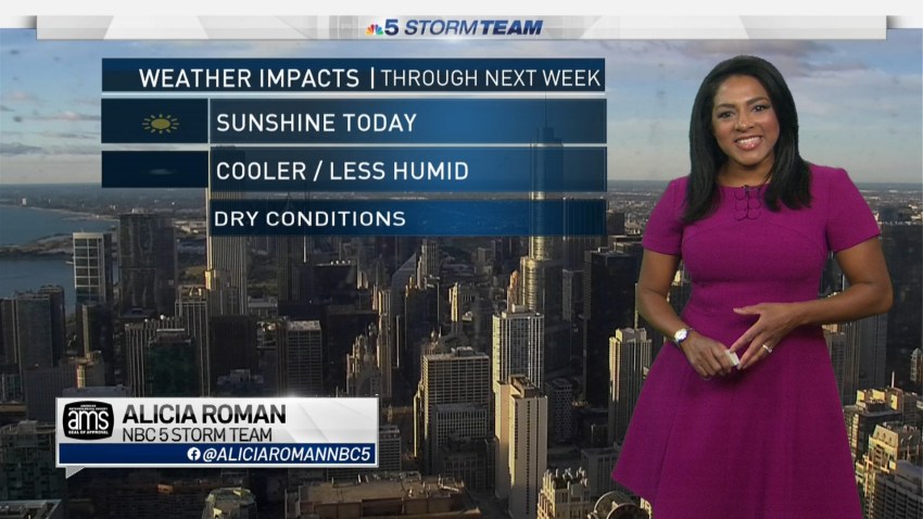 Stories – Page 7 – NBC Chicago