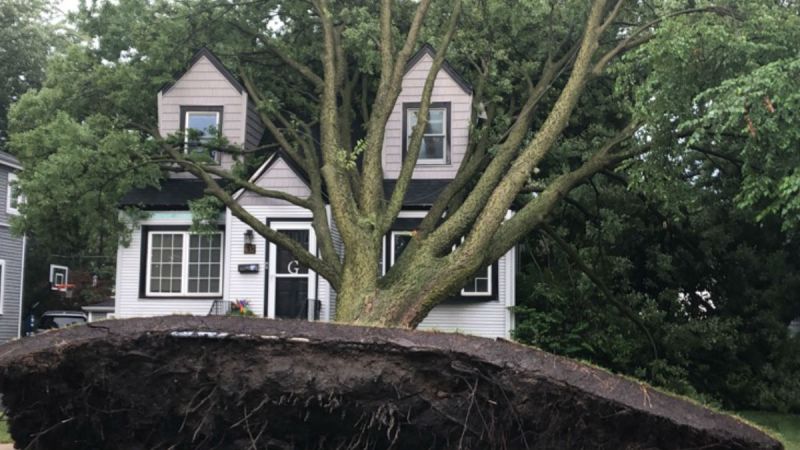 See Inside Deerfield ‘Pie House’ On Market for $270K – NBC Chicago