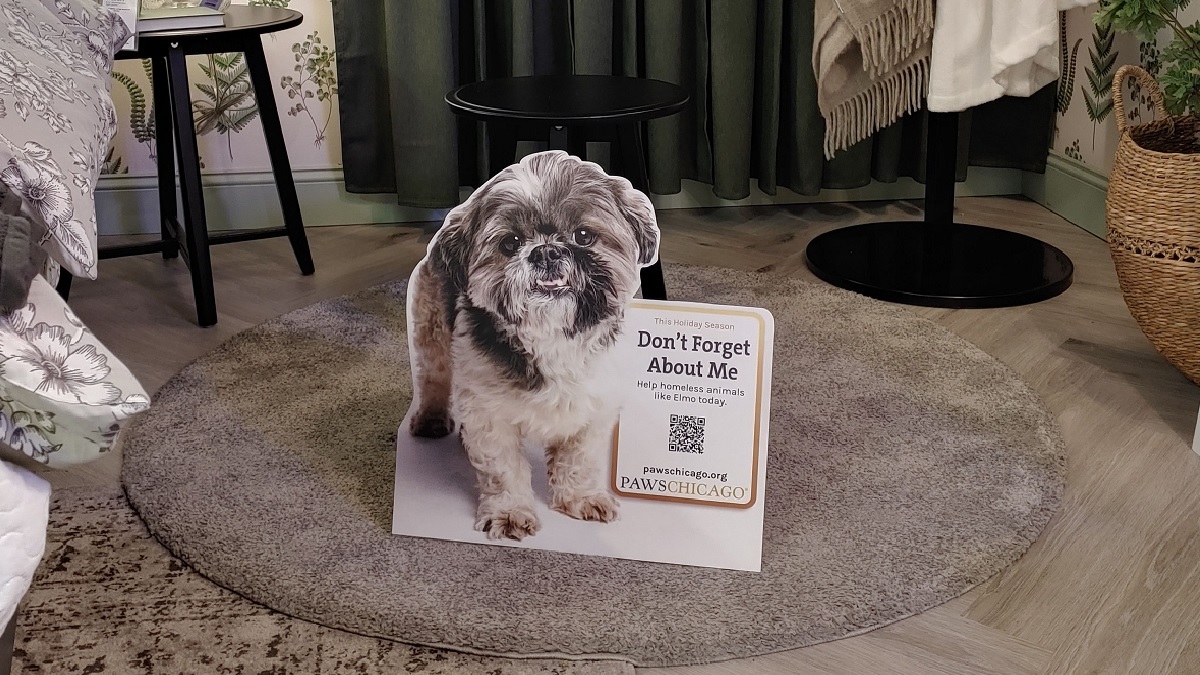 Illinois IKEA Stores Display Cutouts of Adoptable PAWS Chicago Animals ...