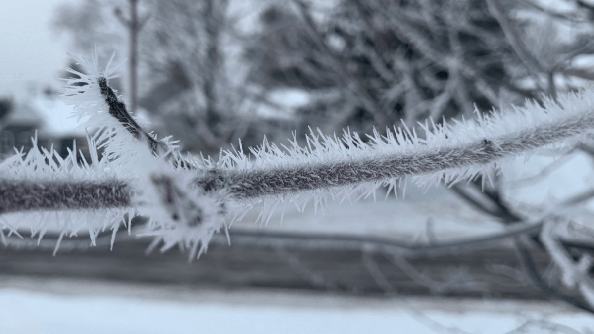 What Is Rime Ice? See the Cool Formations Popping Up in the Midwest ...