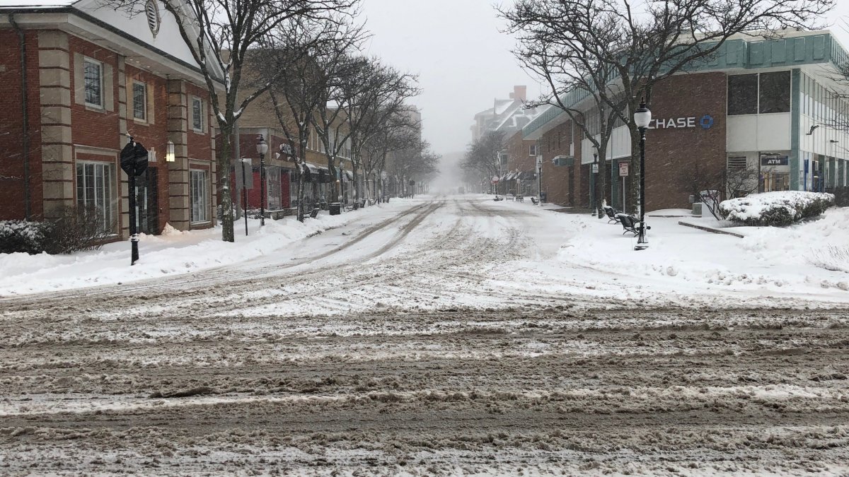 Photos: Several Inches of Snow Blanket Chicago Area in January Storm ...