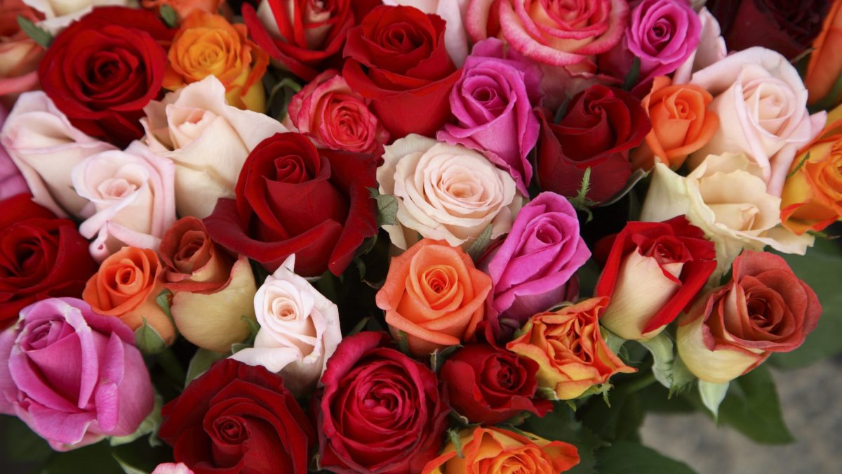 COVID-19 Pandemic Causing Flower Shortage Ahead of Mother’s Day Weekend ...