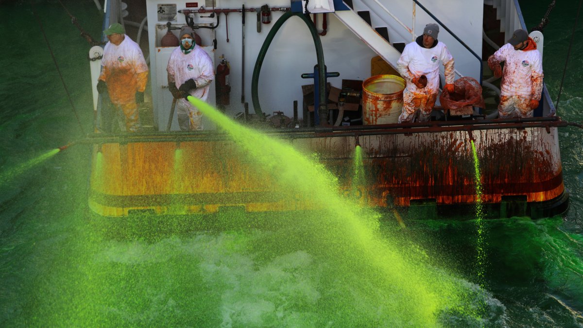Chicago River Dyed Green in Surprise Move as City Encourages Smaller ...