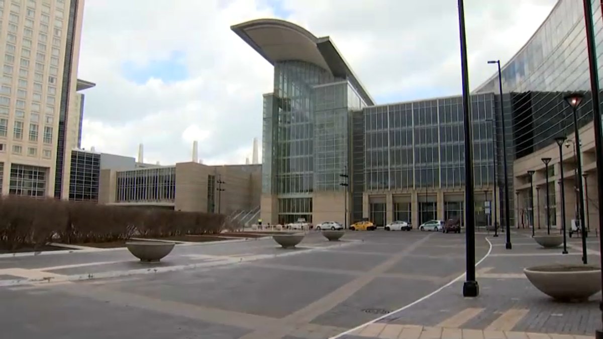 Bird strikes plummet at McCormick Place – NBC Chicago