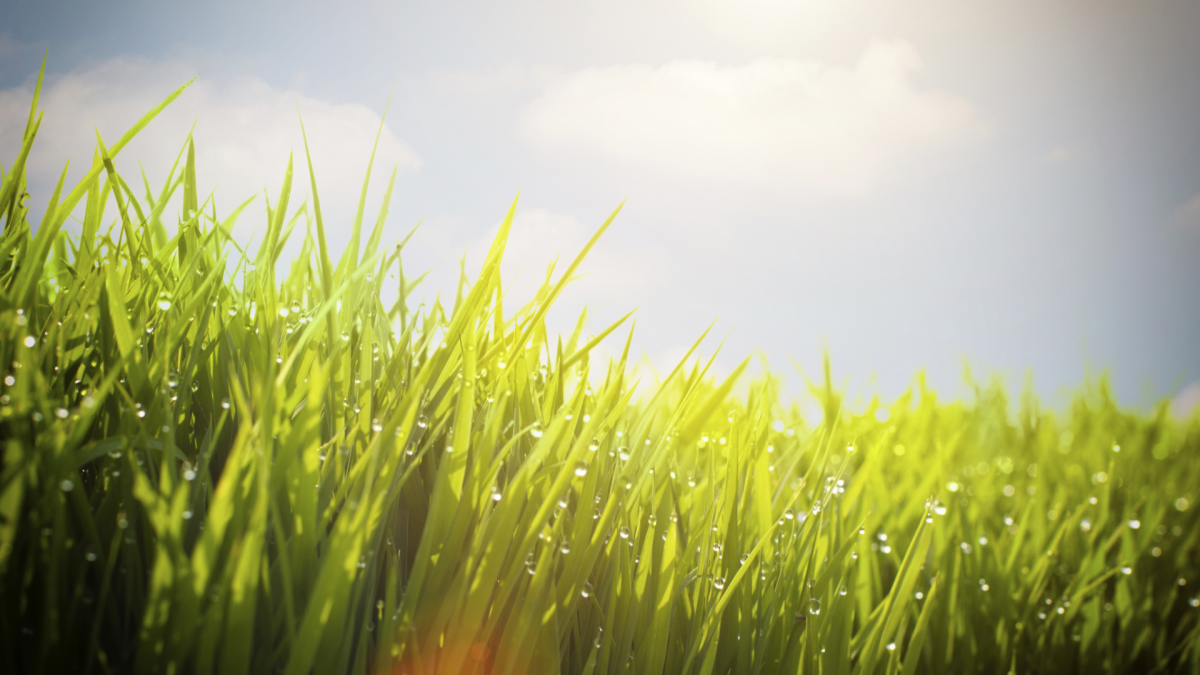 Seasonal allergies can cause skin rashes. 2 types to watch for – NBC ...