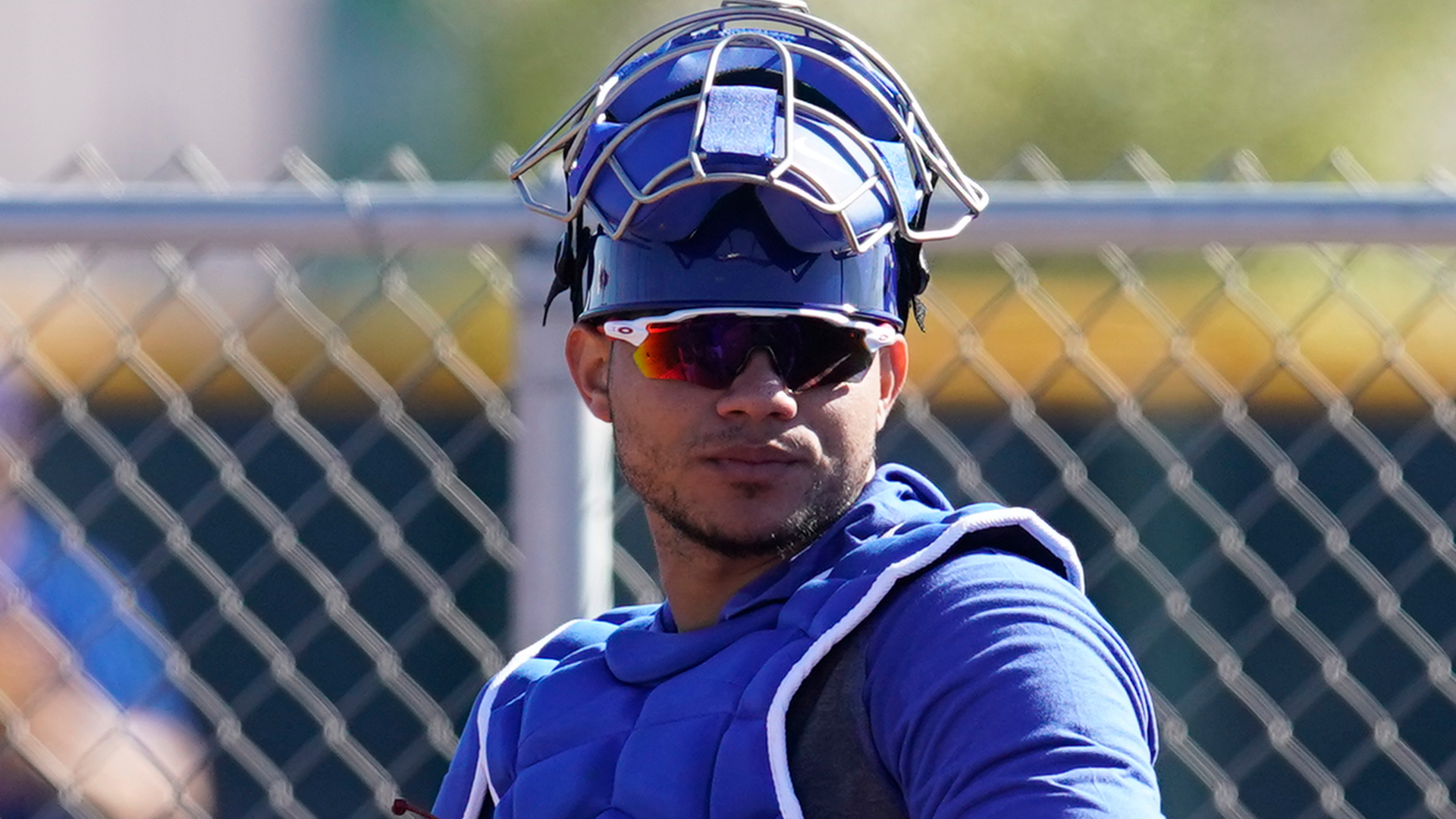 Cubs’ Willson Contreras, Brother William Look Like Next-Gen Molinas ...