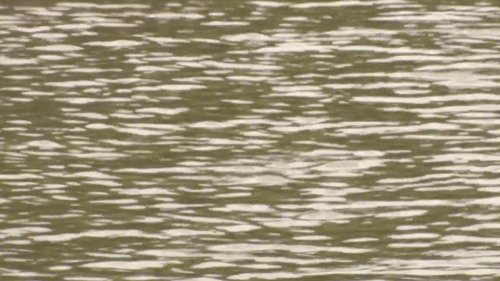 Body found in Lake Michigan near Monroe Harbor – NBC Chicago