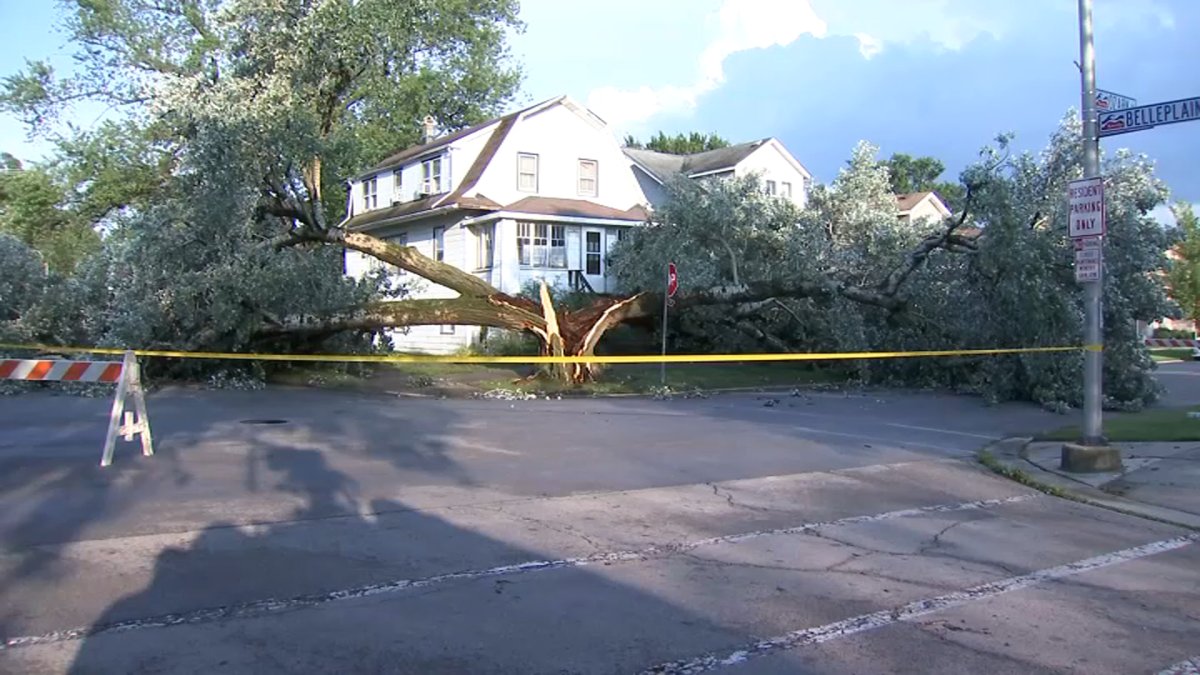 Severe Storms Topple Trees and Damage Cars in Chicago Area – NBC Chicago