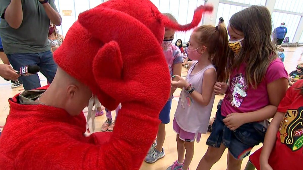 Soldier Dad Dresses Up as Mascot, Surprises Kids at Summer Camp – NBC ...
