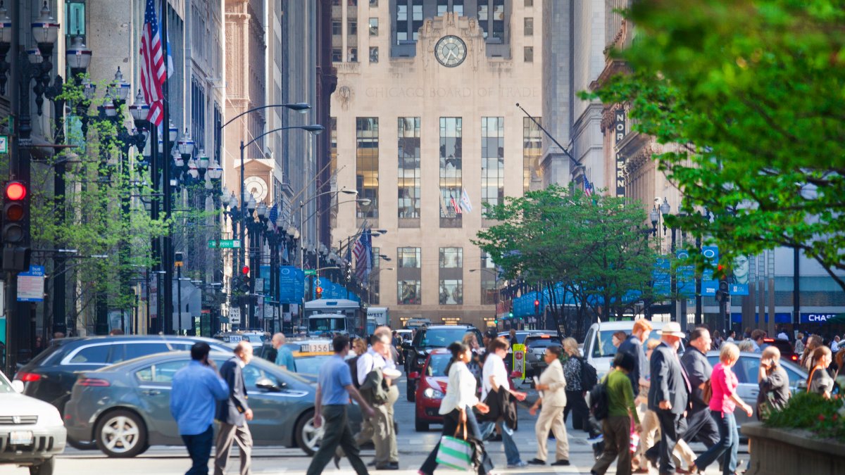 Illinois, Like Nation, More Diverse, Urban in Last Decade – NBC Chicago