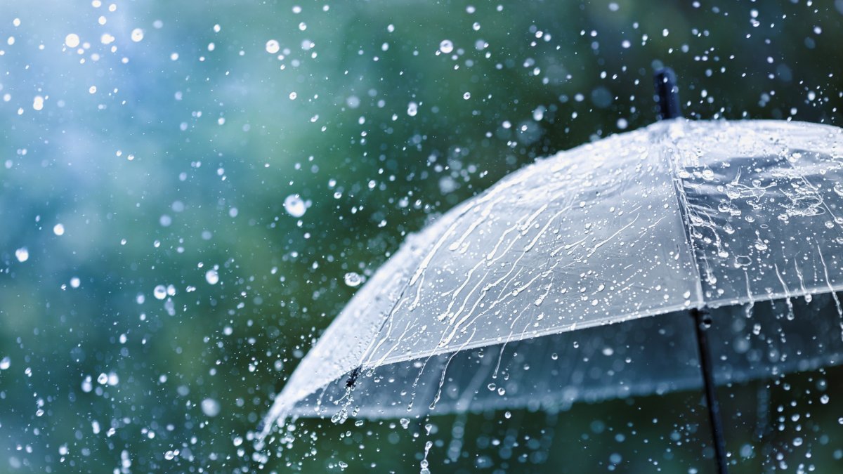 Flooding washes out last day of Wisconsin State Fair – NBC Chicago