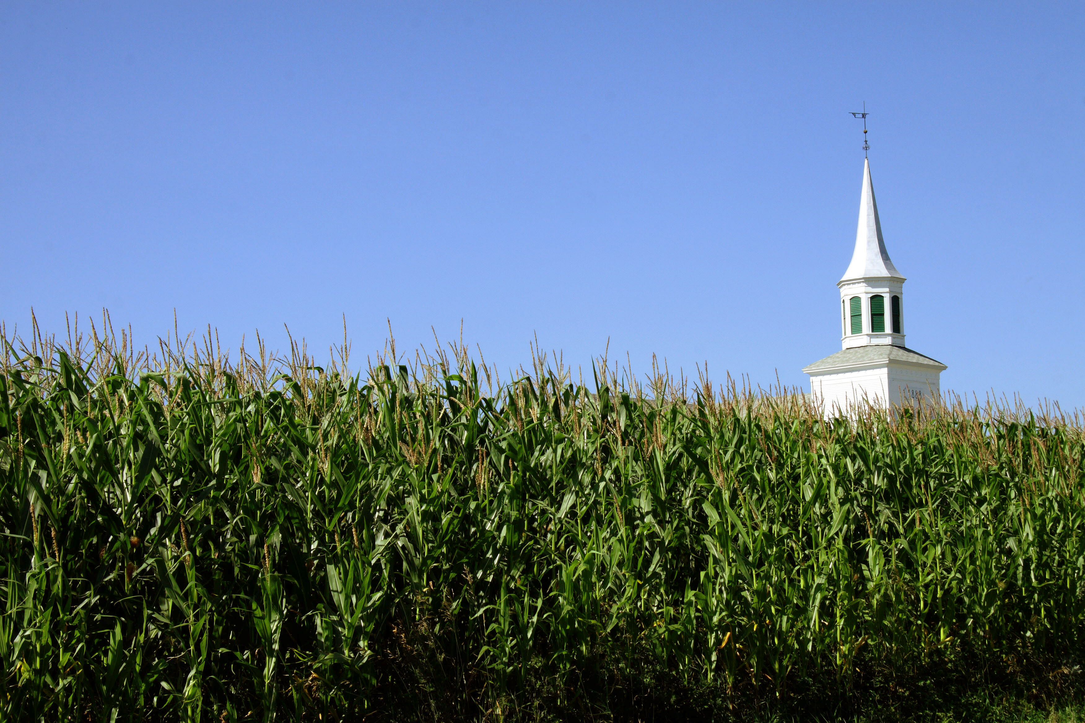 ‘Corn sweat’ makes Illinois heat wave worse – NBC Chicago
