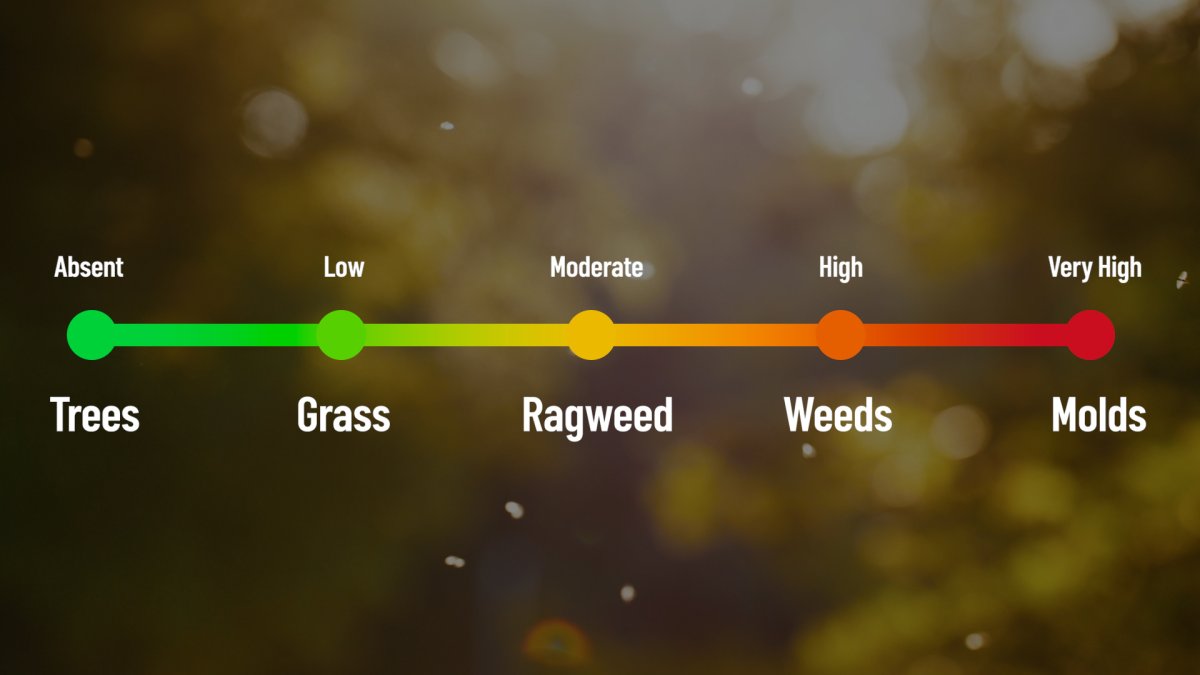 Pollen Count Chicago: What’s Highest Right Now and When You Might See ...