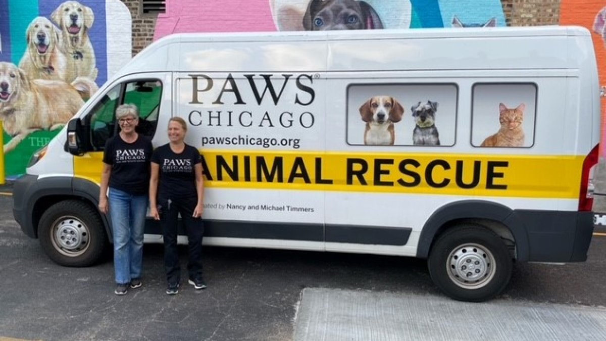 PAWS Chicago Takes in Animals From Shelters Hit Hard by Hurricane Ida ...